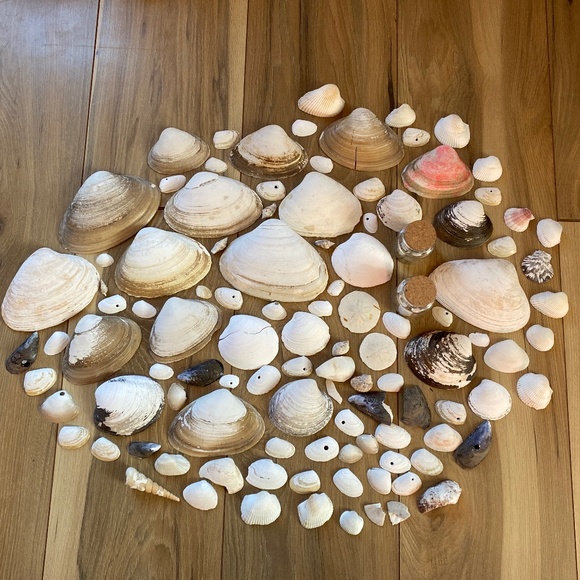 Accents | Seashell Home Decor Bundle | Poshmark